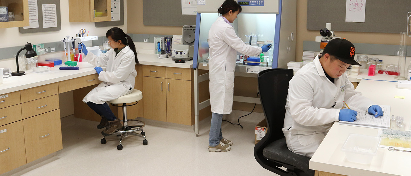 Home - Vector Control Services