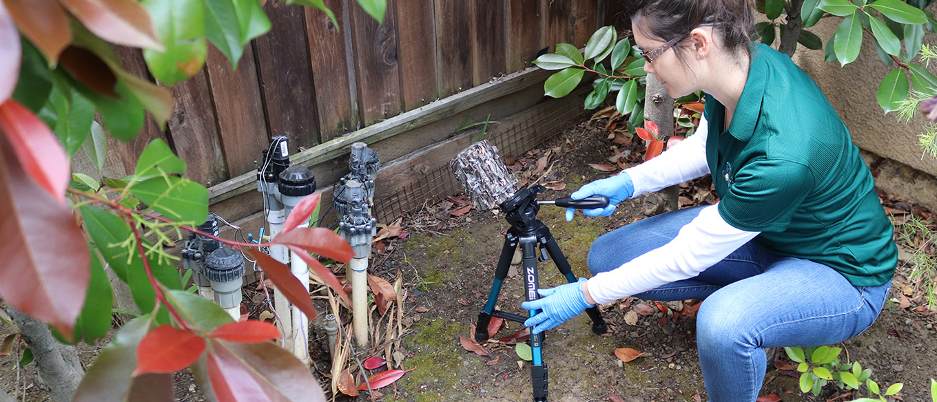 Home - Vector Control Services