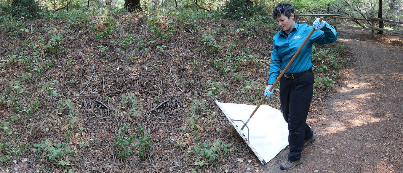 Home - Vector Control Services